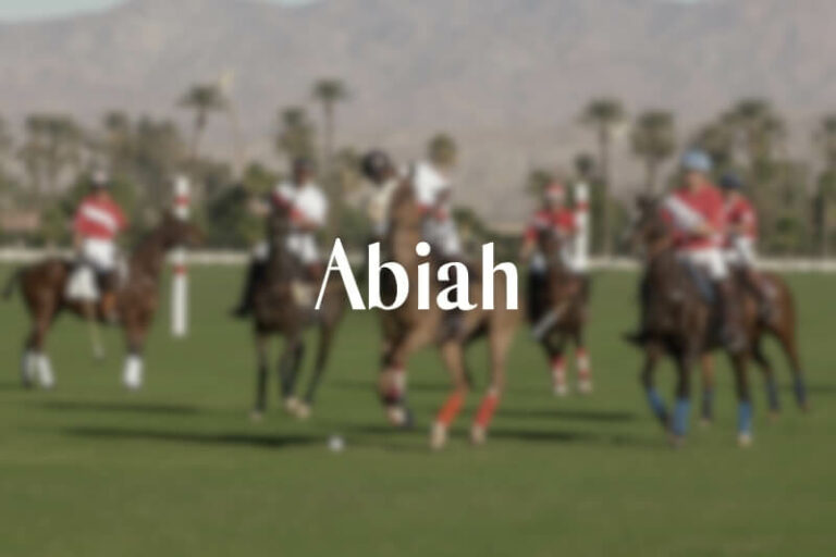 Design Like a Pro: 20 Canva Fonts That Scream Luxury