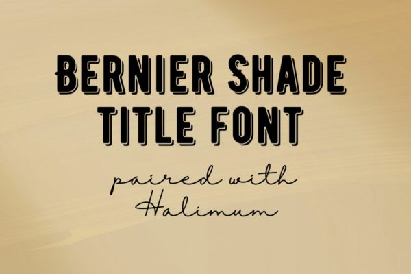 Elegant & Stylish Canva Font Pairings in 2024