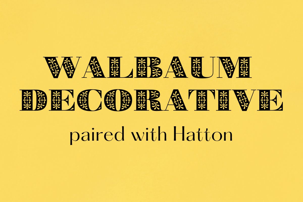 Elegant & Stylish Canva Font Pairings in 2024