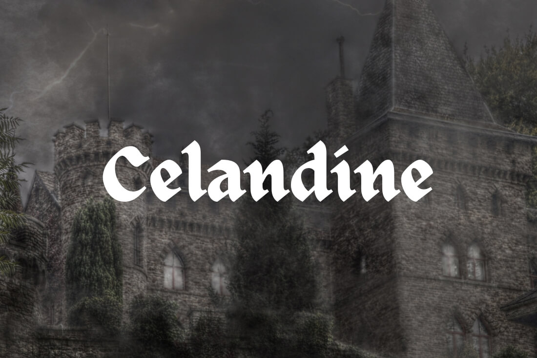 15 Free Spooky Canva Halloween Fonts