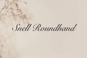 10 Cursive Fonts in Canva That Will Make Your Designs Shine