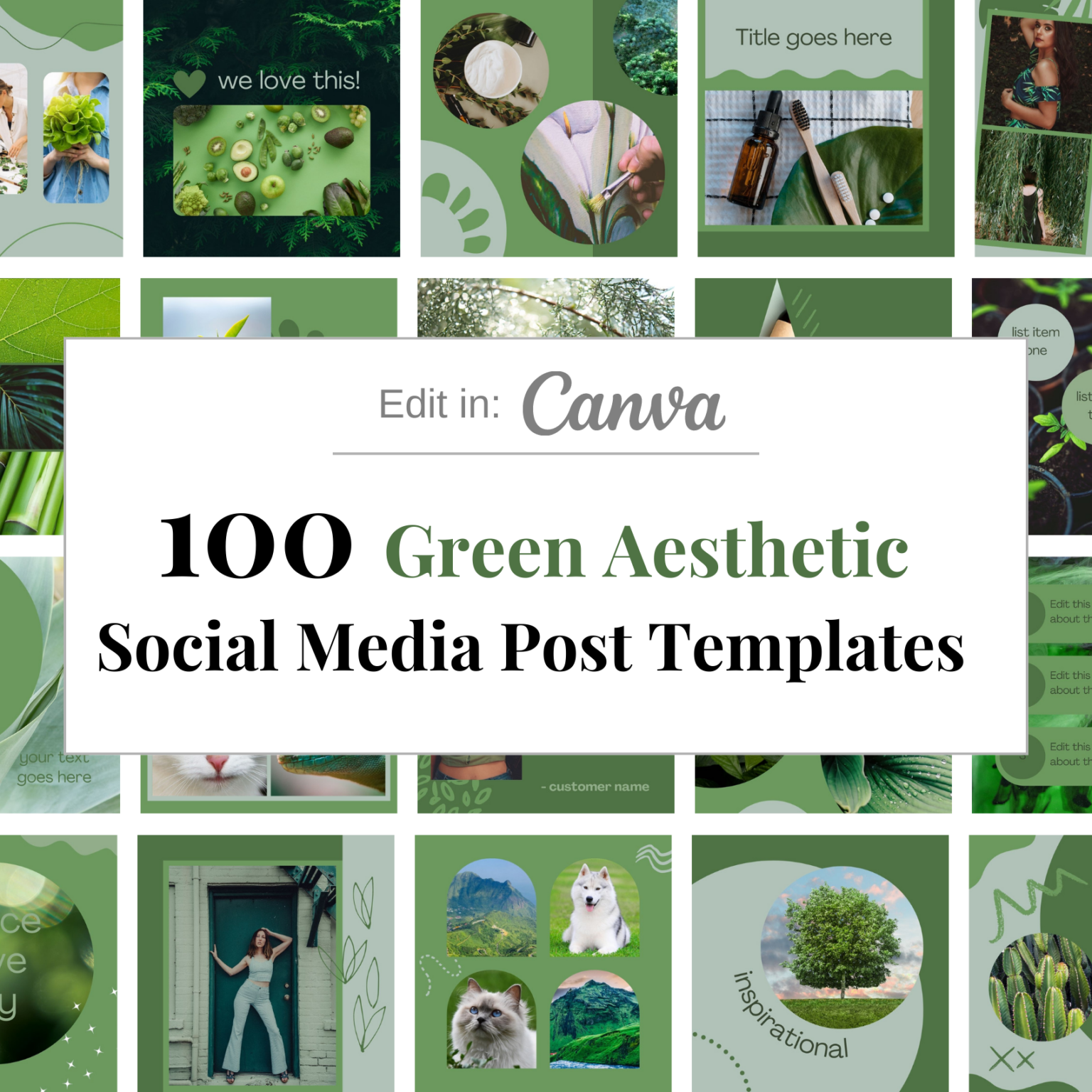 100 Green Social Media Canva Templates | The Creatives Desk