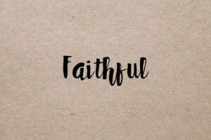 10 Cursive Fonts in Canva That Will Make Your Designs Shine