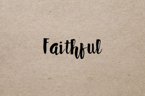 10 Cursive Fonts in Canva That Will Make Your Designs Shine