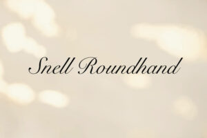 Design Like a Pro: 20 Canva Fonts That Scream Luxury