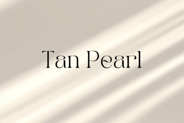 Design Like a Pro: 20 Canva Fonts That Scream Luxury